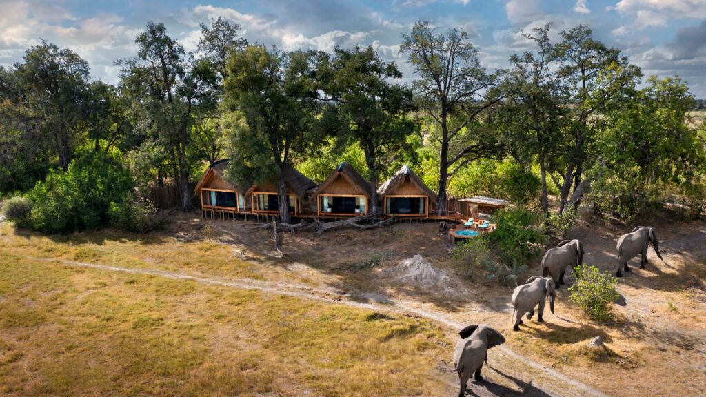 Tawana - Moremi Game Reserve Specials - Your Perfect Africa