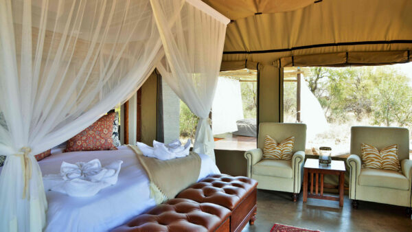 Safari Plains | Waterberg Safari Special Offers