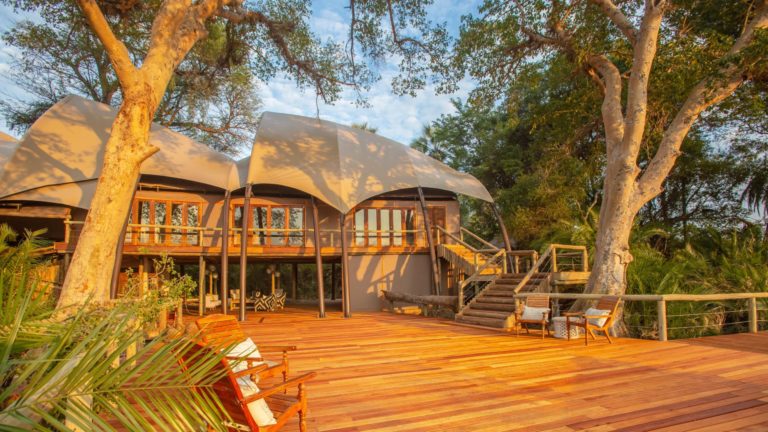 Jacana Camp Bookings - Best Rates and Special Offers